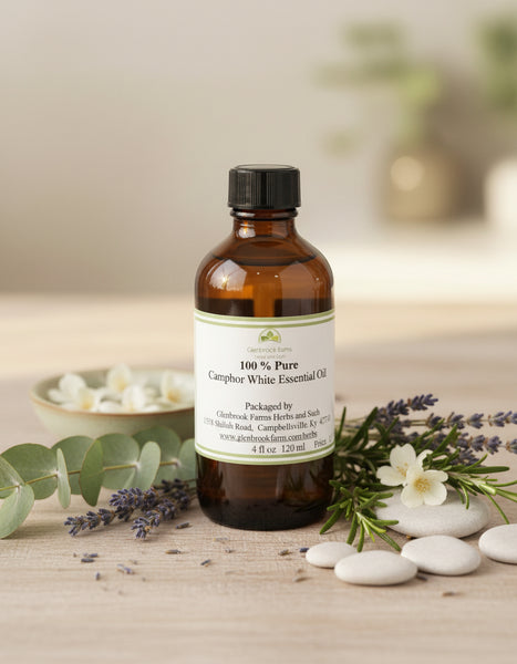Camphor, White Essential Oil – Glenbrook Farms Herbs and Such